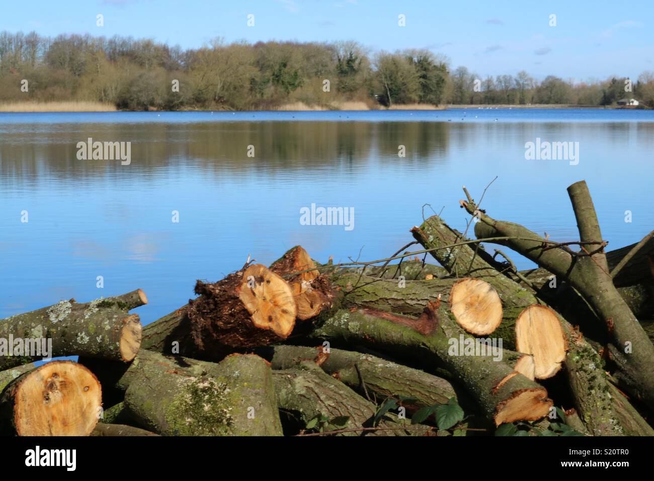 Coate water hi-res stock photography and images - Alamy