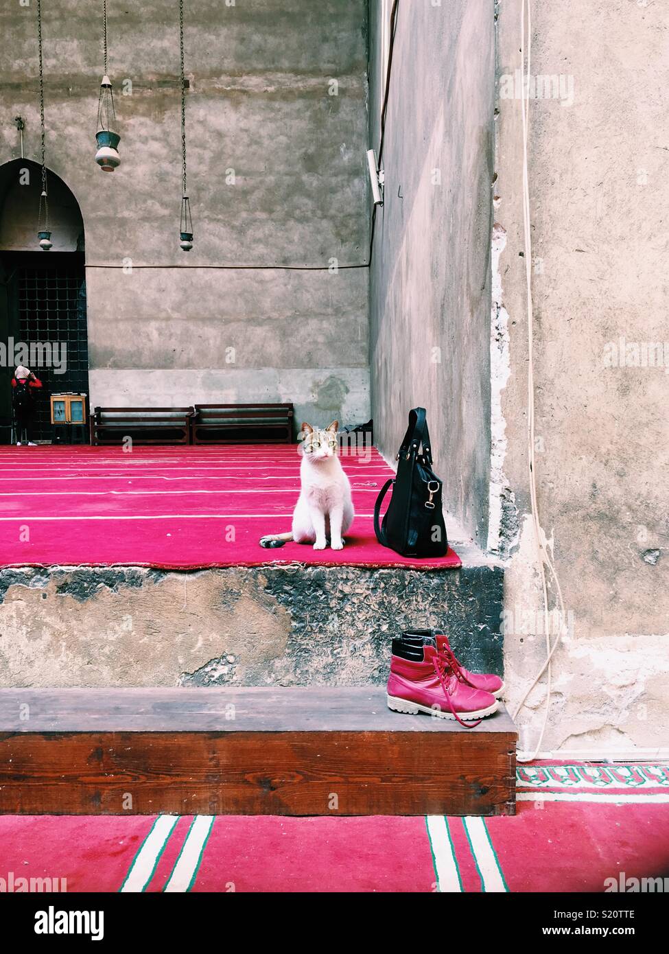 Green eyed cat in a mosque Stock Photo - Alamy