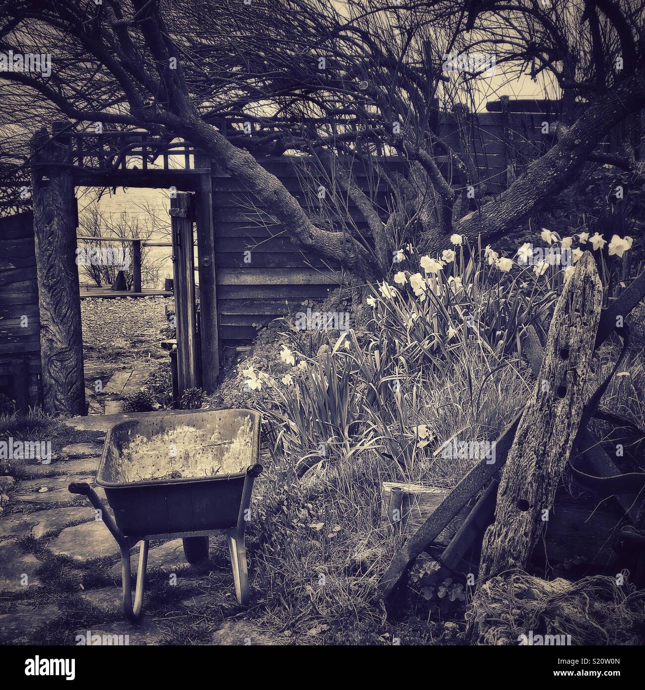 Cottage garden with wheel barrow Stock Photo - Alamy