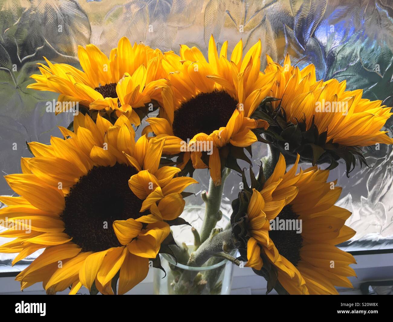 Sunflowers vase hi-res stock photography and images - Alamy
