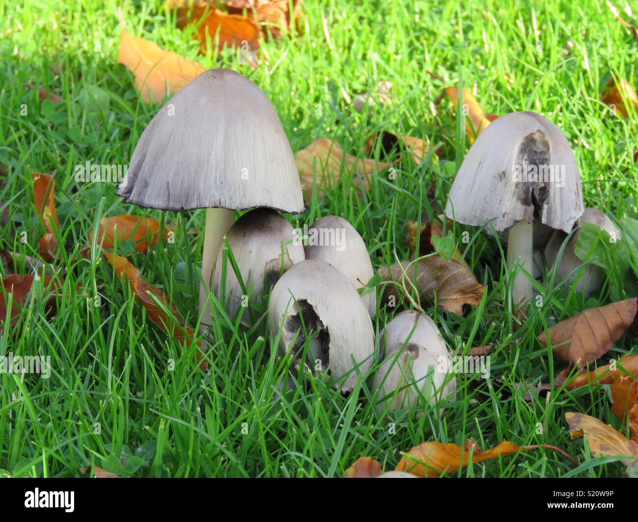 Bridge camera hi-res stock photography and images - Alamy