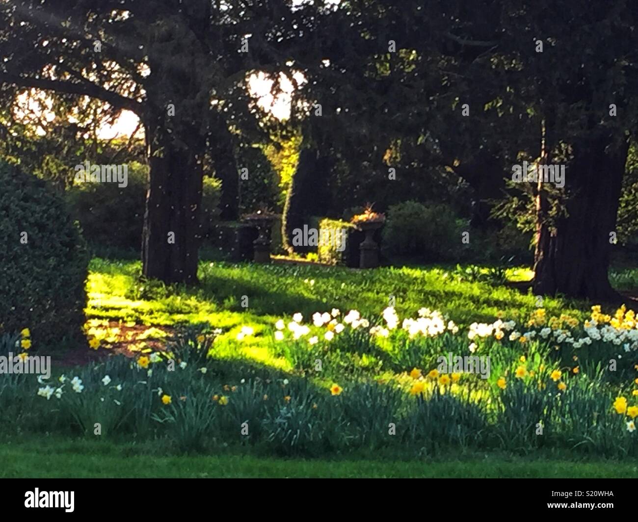 Spring harmony hi-res stock photography and images - Alamy