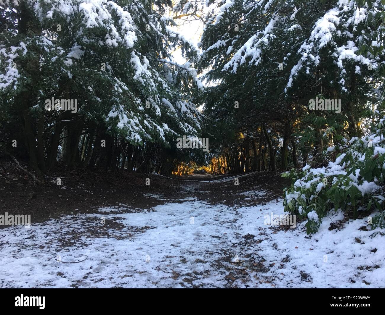 Taken during the winter in the Scottish Borders Stock Photo - Alamy