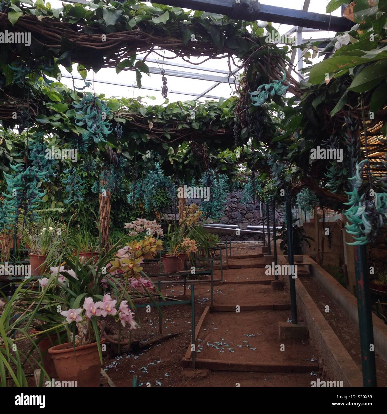 Quinta da boa vista hi-res stock photography and images - Alamy