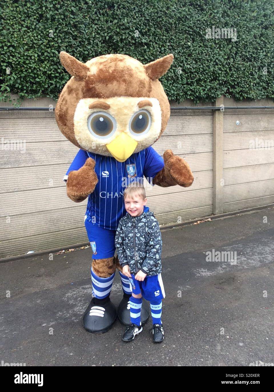 Ozzy the owl hi-res stock photography and images - Alamy