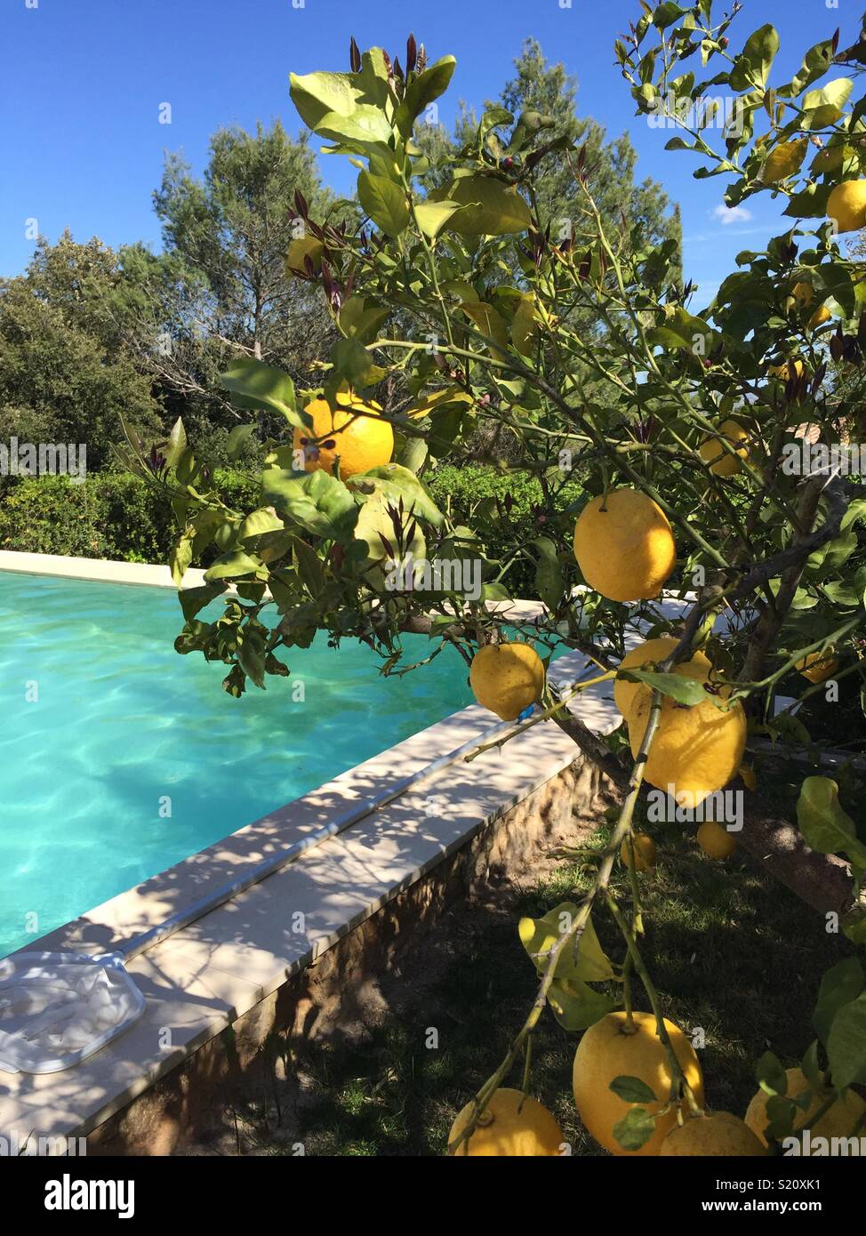 Next to pool hi-res stock photography and images - Alamy