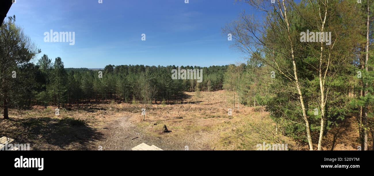 Moors valley hi-res stock photography and images - Alamy