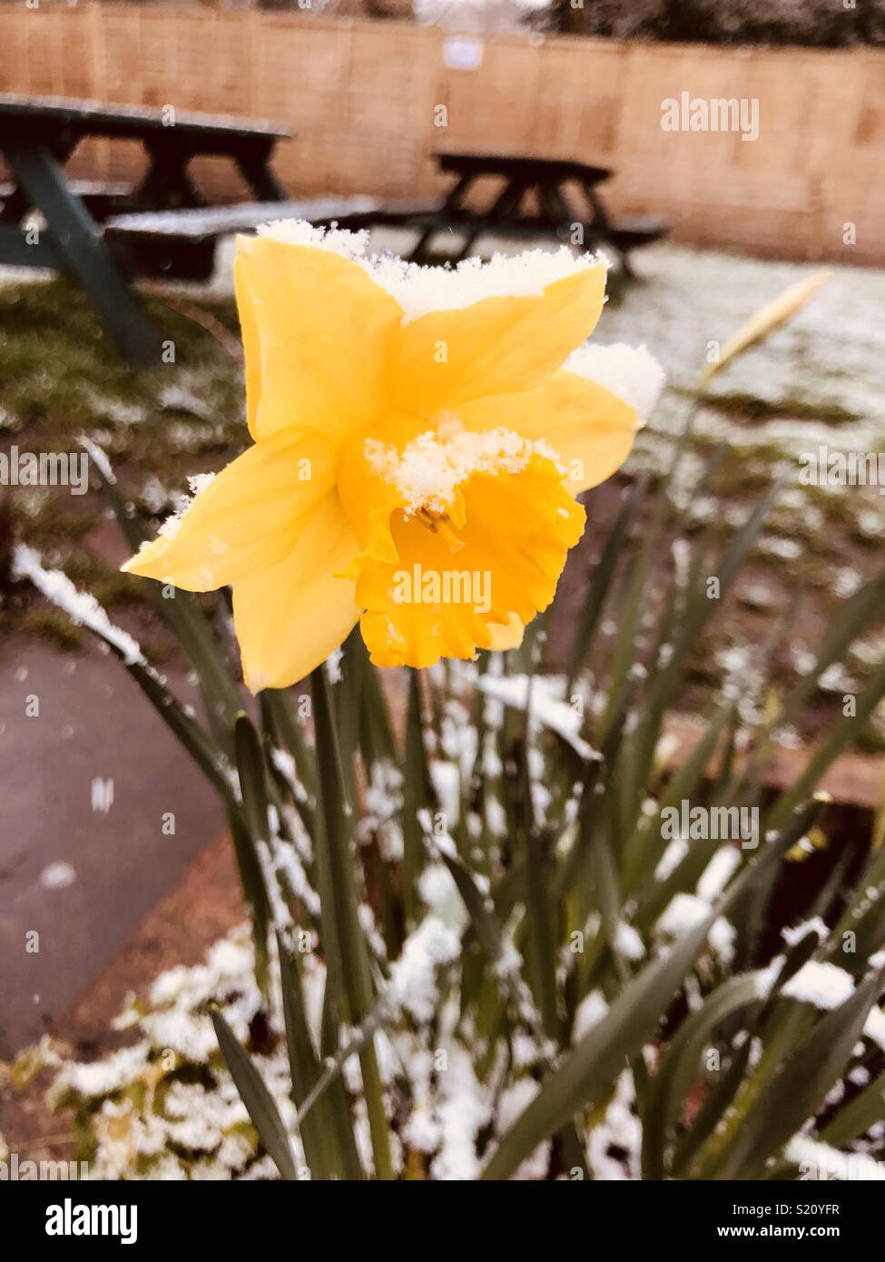 Spring in england hi-res stock photography and images - Alamy