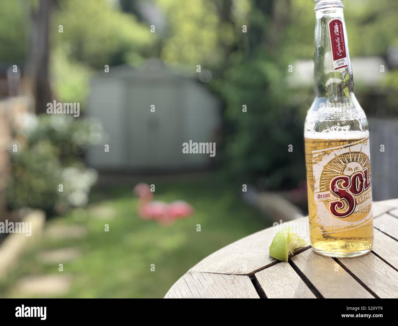 Sol beer hi-res stock photography and images - Alamy