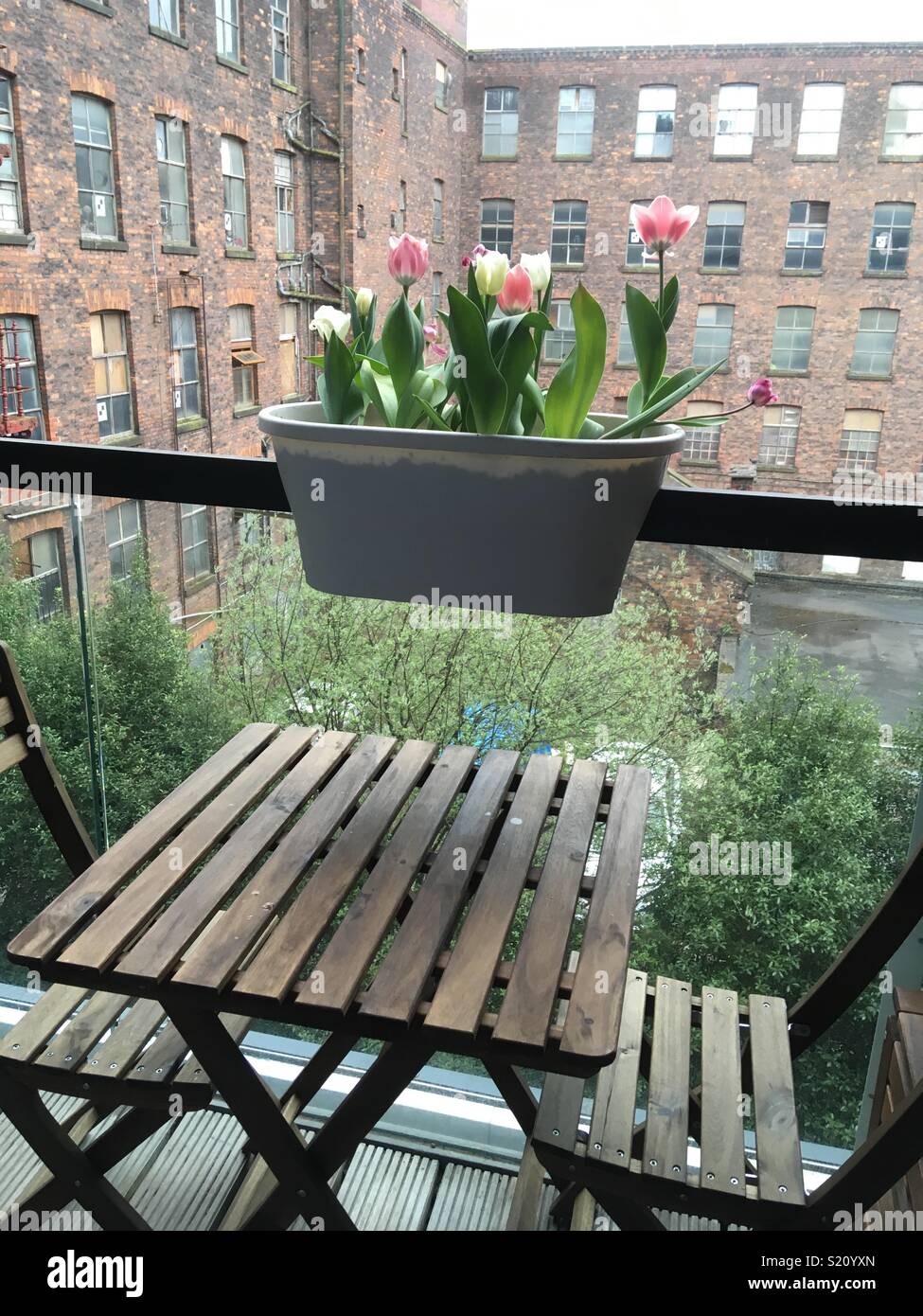 Window box tulips hi-res stock photography and images - Alamy