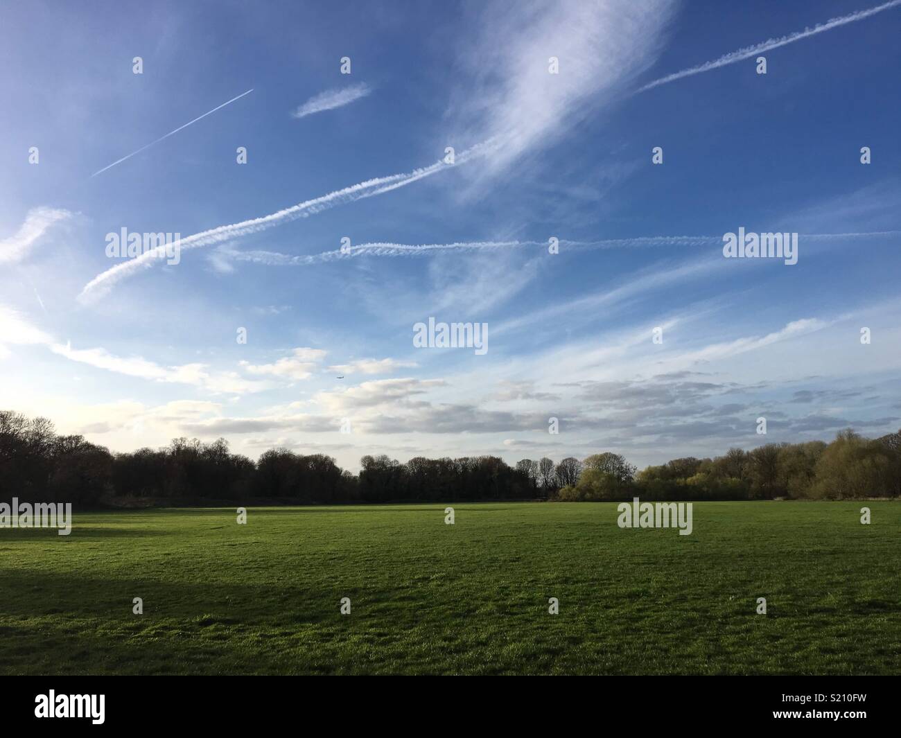 Norman Park Bromley High Resolution Stock Photography and Images - Alamy