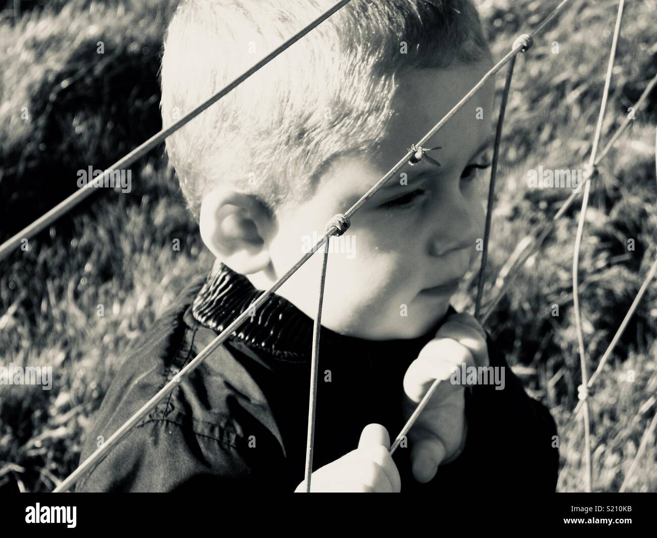 Boy bee hi-res stock photography and images - Alamy