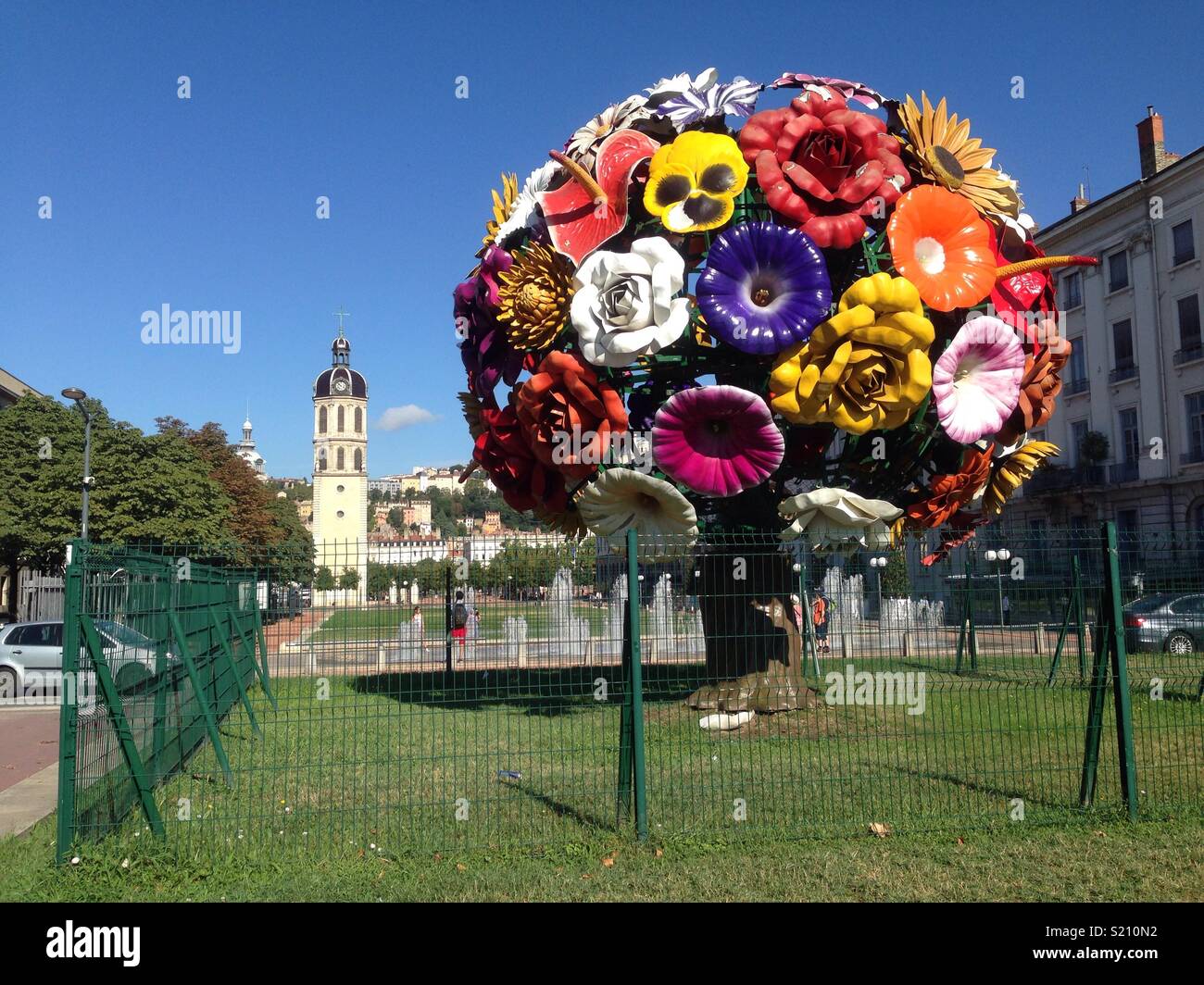 Lyon flower hi-res stock photography and images - Alamy