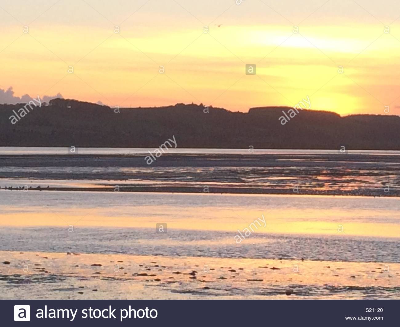 Montrose Basin Stock Photos & Montrose Basin Stock Images - Alamy