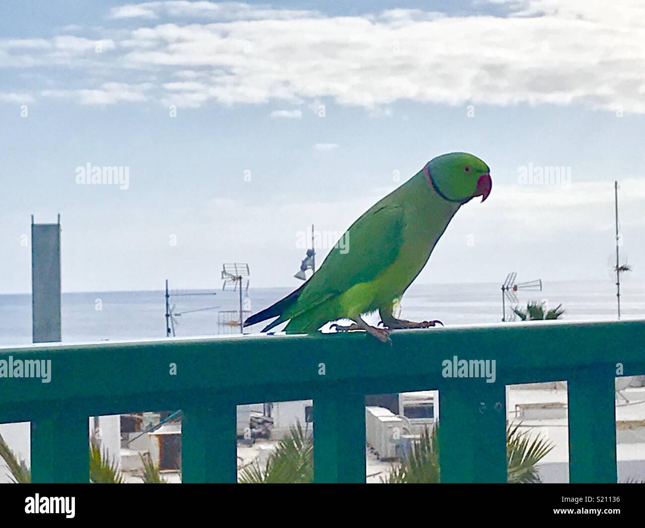 Freedom chill hi-res stock photography and images - Alamy