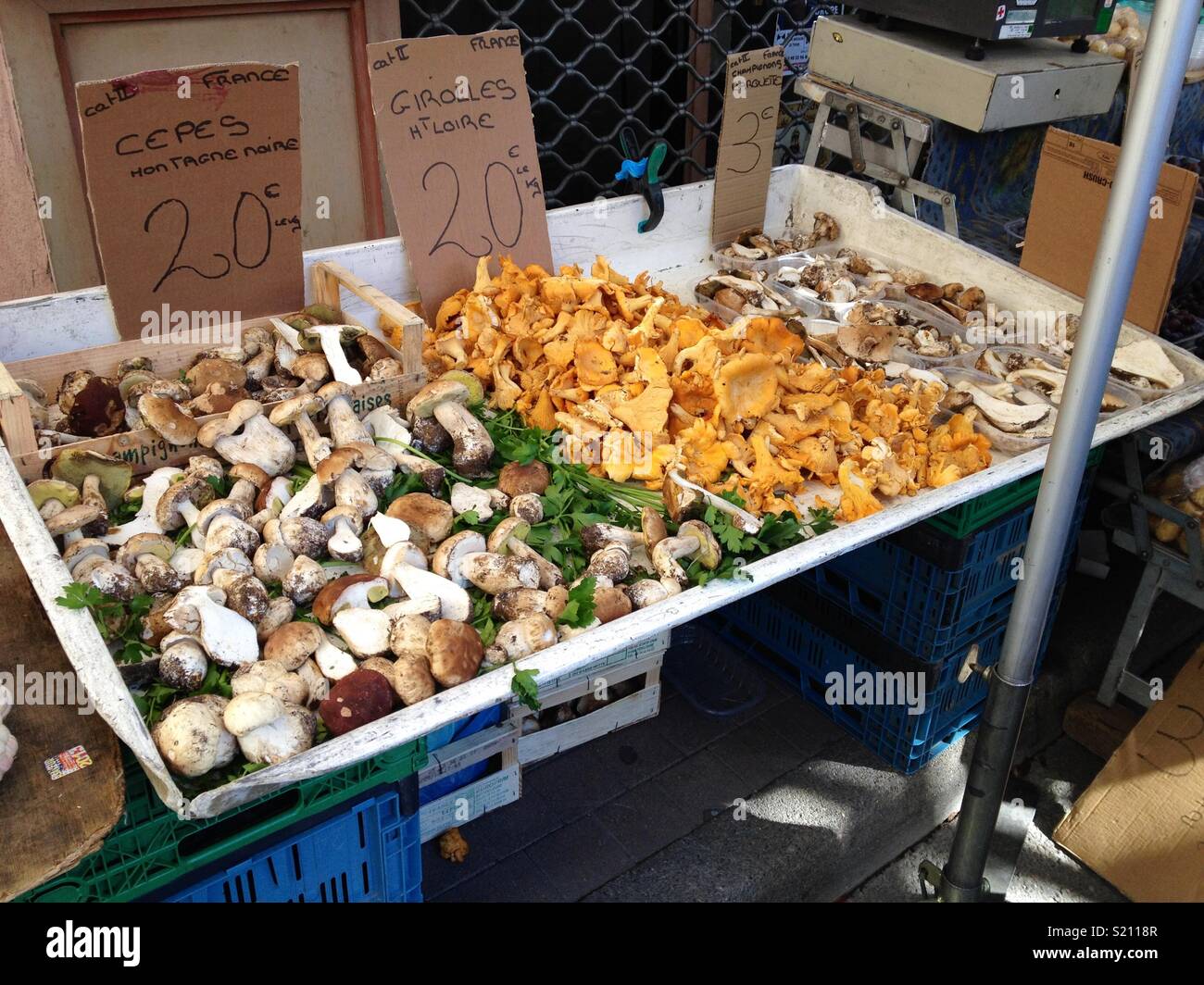 French mushroom stall Stock Photo - Alamy