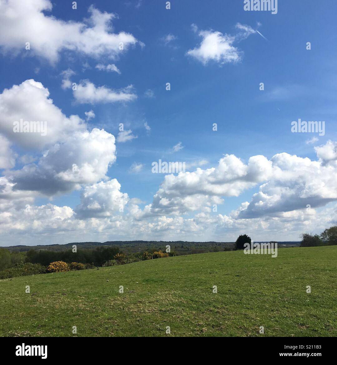 English countryside in spring Stock Photo - Alamy