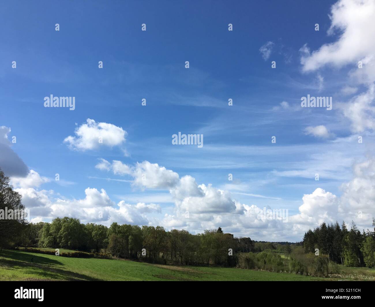 English countryside in spring Stock Photo - Alamy