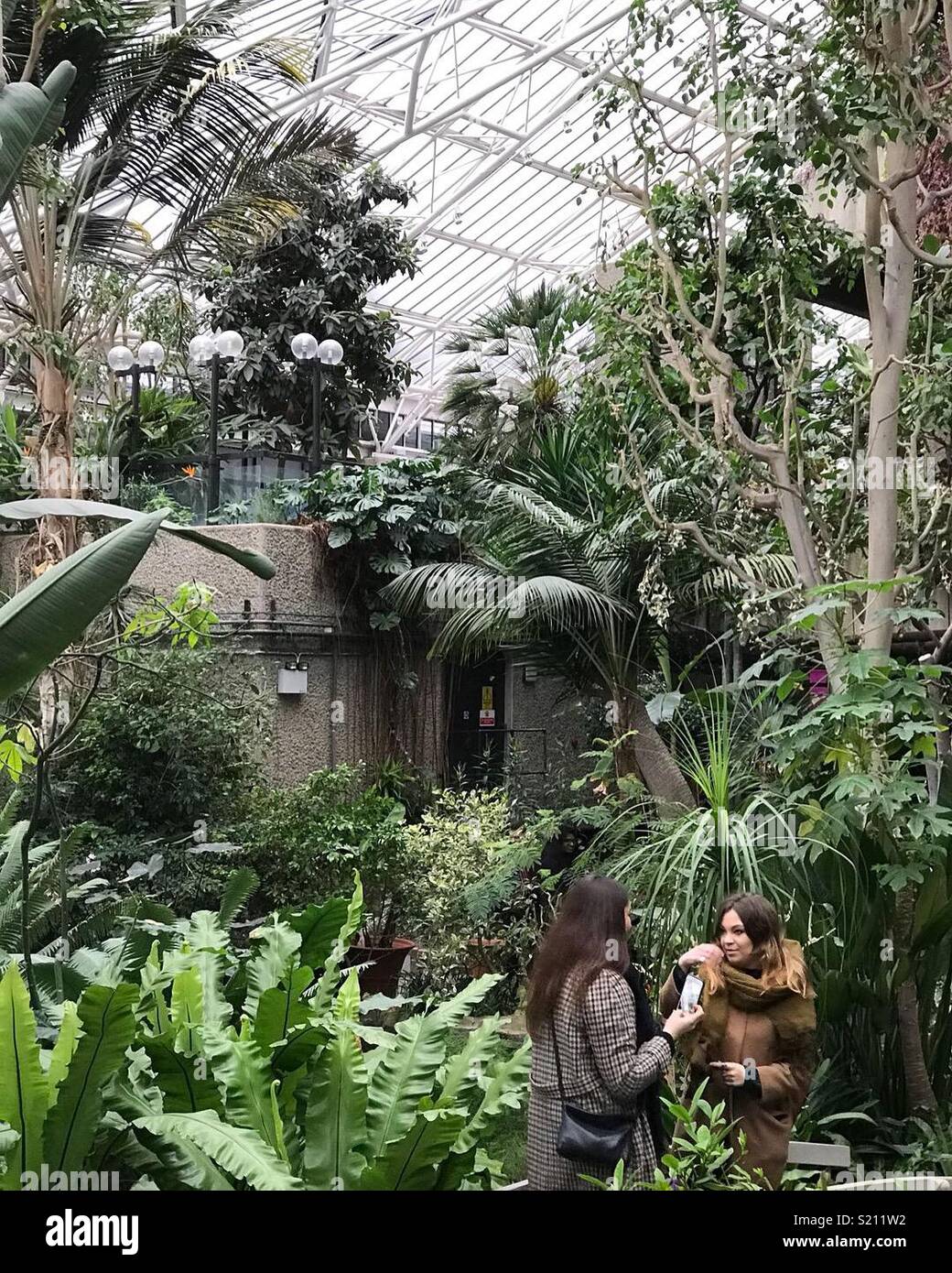 The barbican conservatory hi-res stock photography and images - Alamy