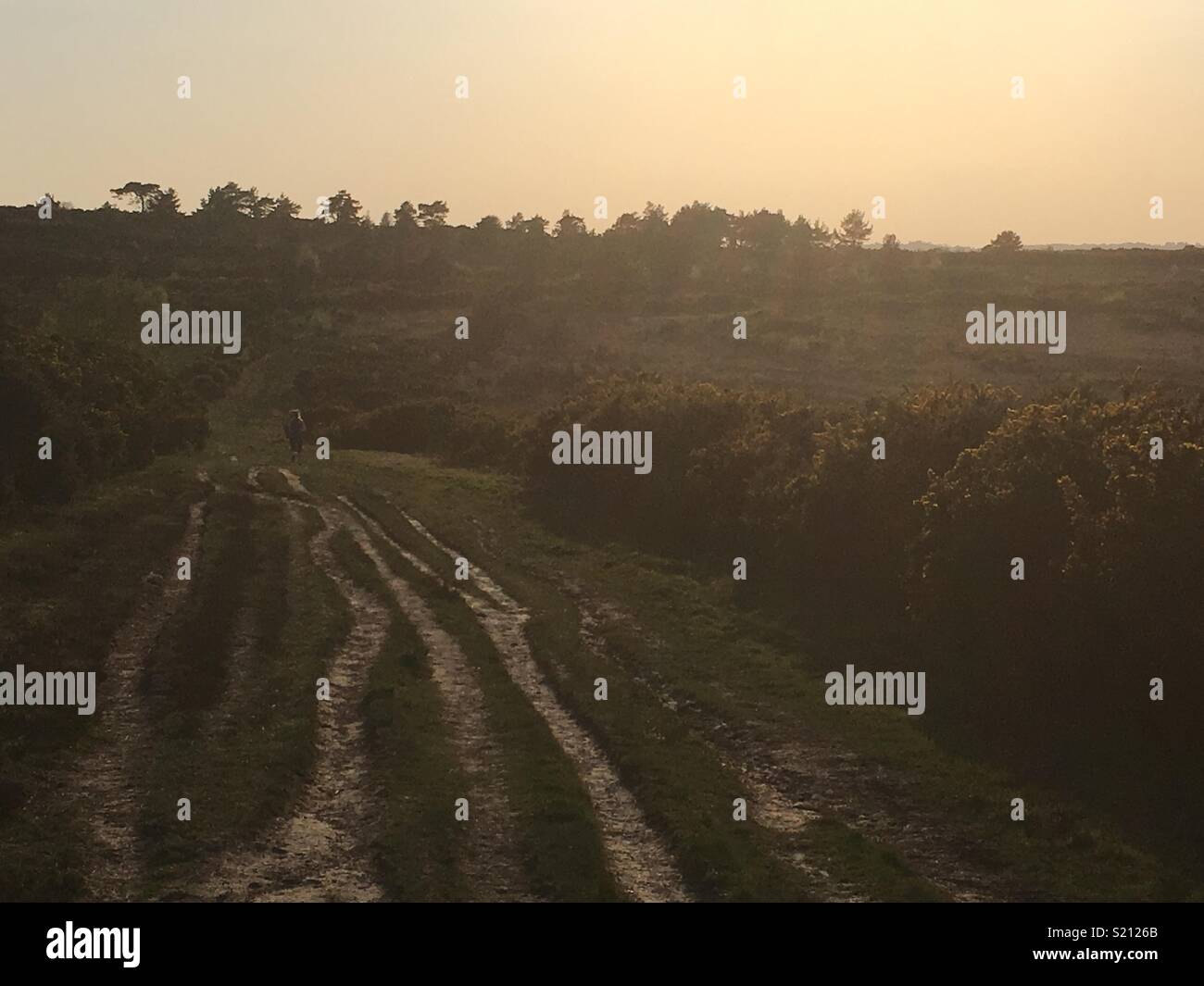 Winnie pooh ashdown hi-res stock photography and images - Alamy