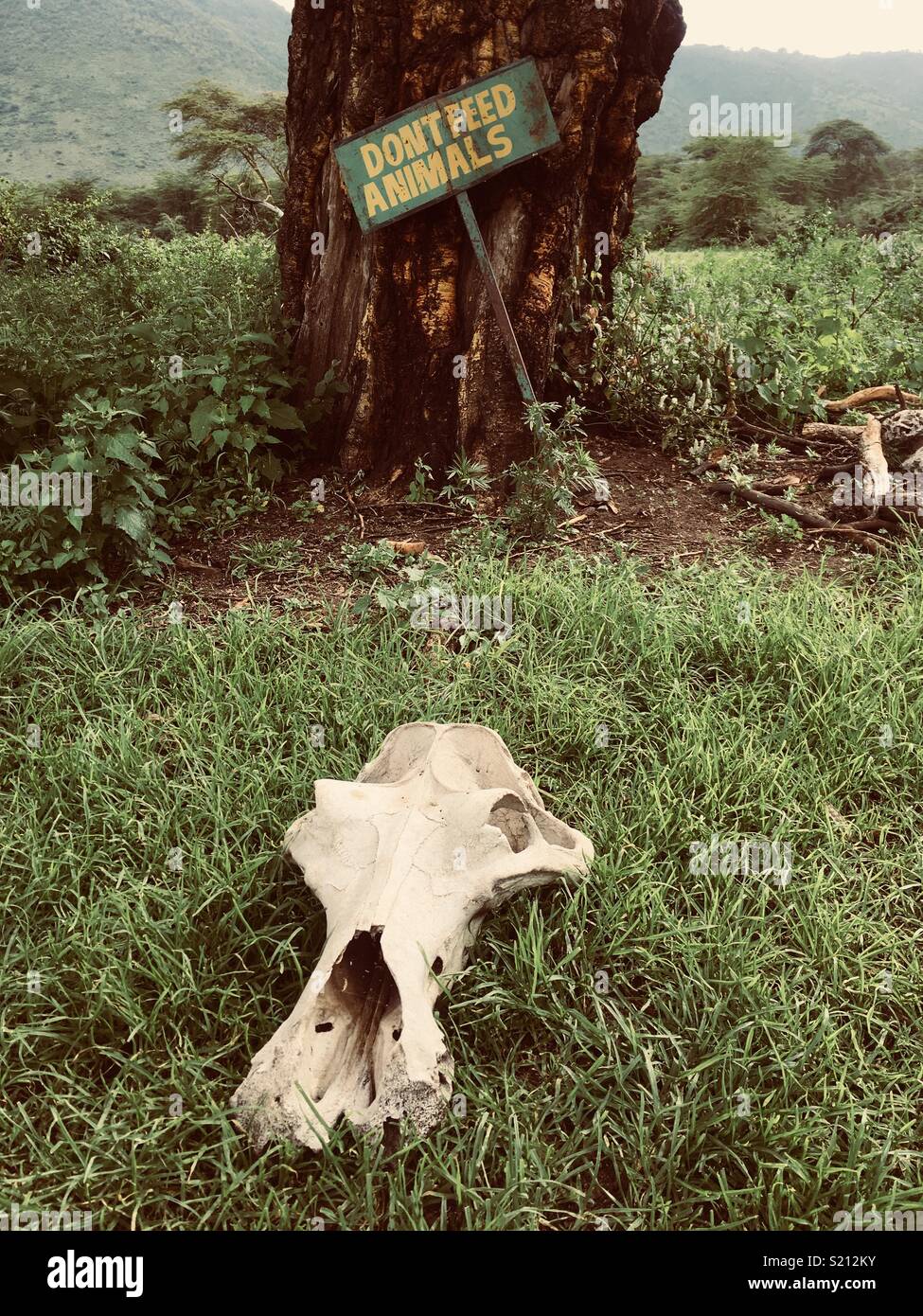 Do not feed the animals Stock Photo - Alamy