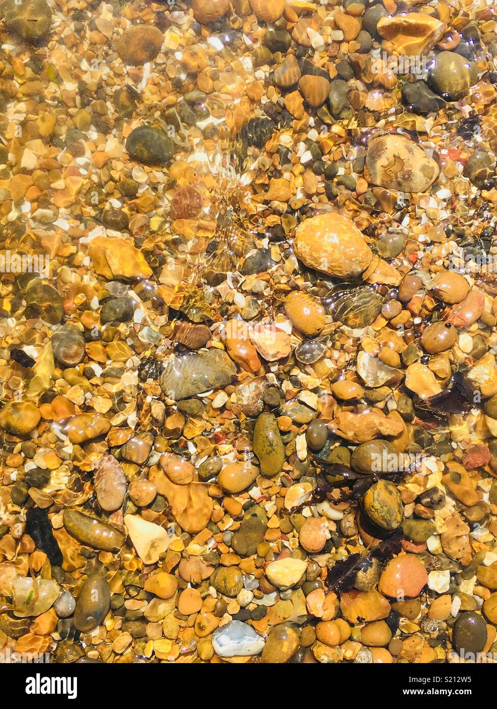 Pebbles at the seaside Stock Photo - Alamy