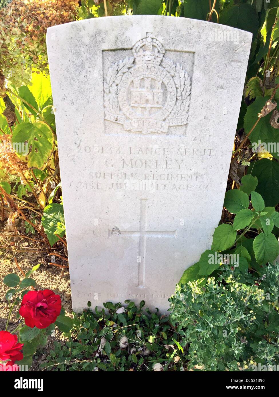 World war two headstone hi-res stock photography and images - Alamy