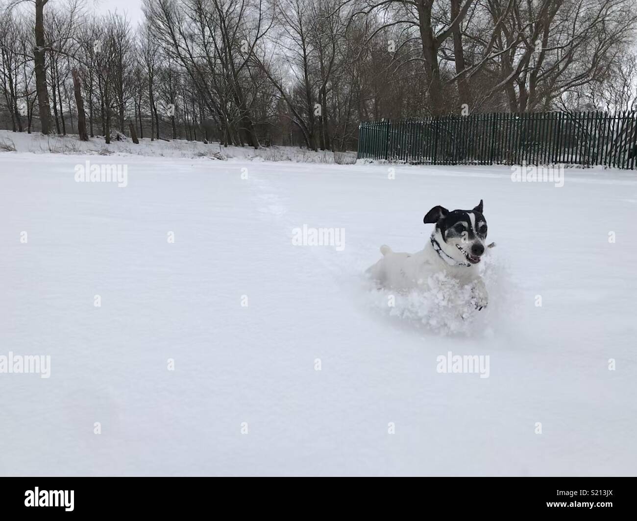 Russell jack hi-res stock photography and images - Alamy