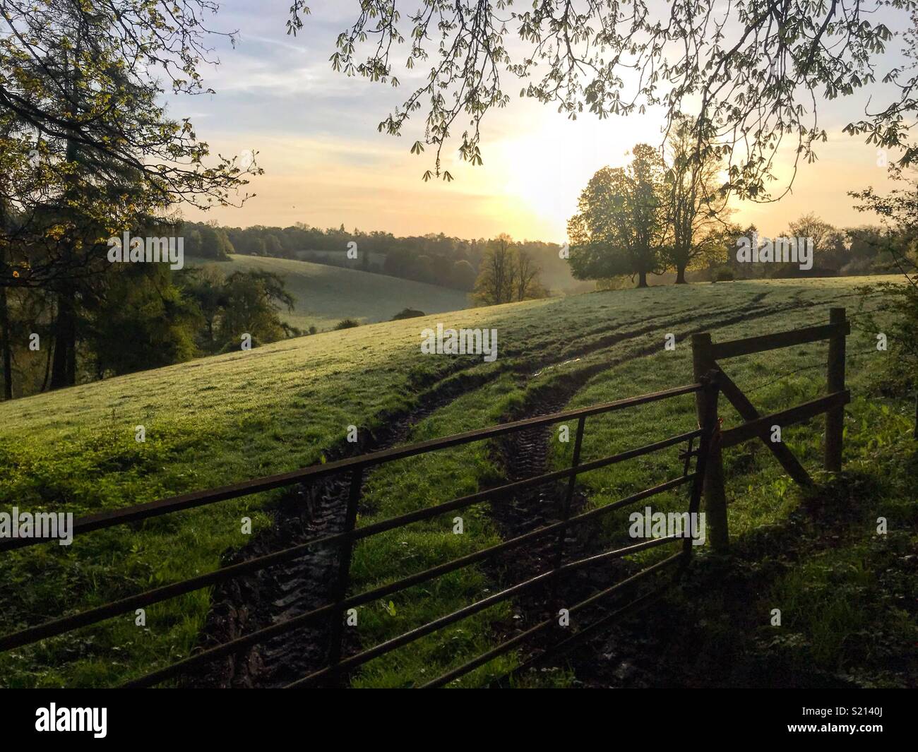 English countryside sunrise Stock Photo - Alamy