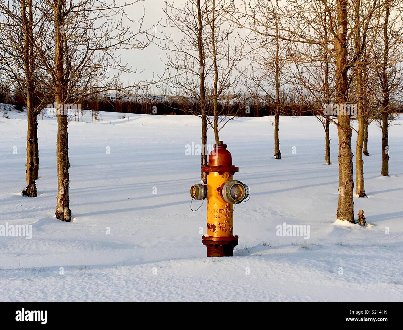 Fire hydrant in an Icelandic wood Stock Photo - Alamy