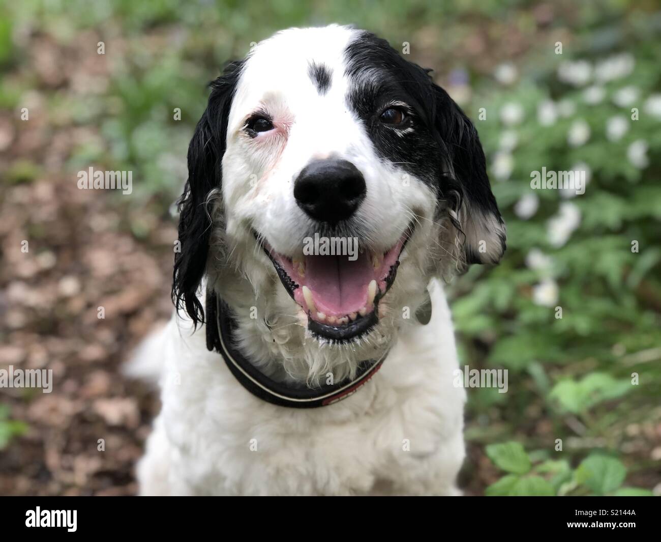 Smiling always hi-res stock photography and images - Alamy