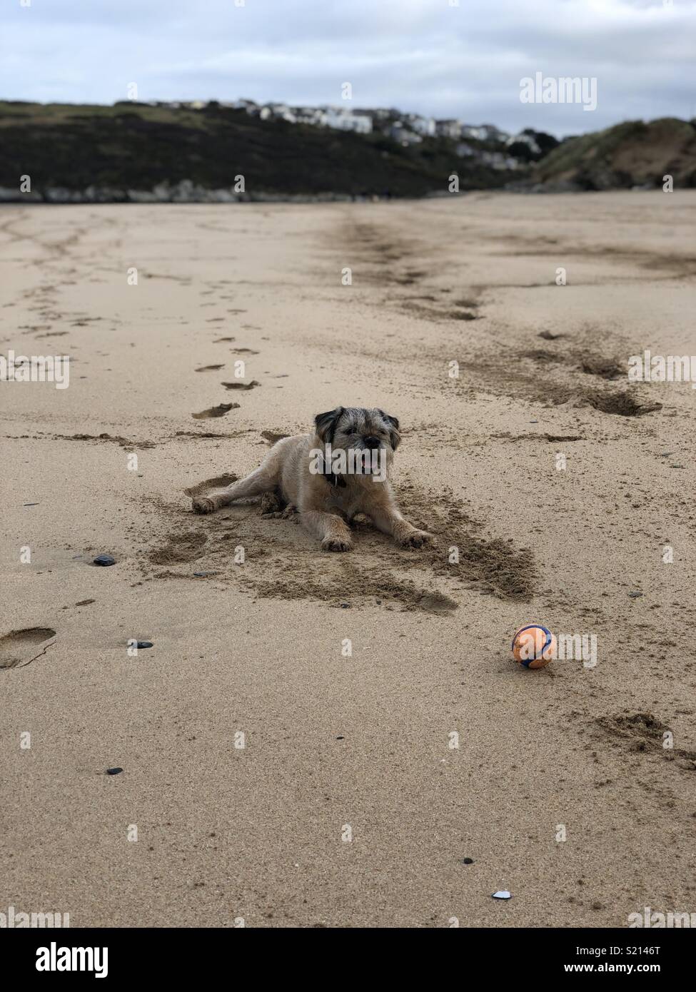 Cornish border hi-res stock photography and images - Alamy