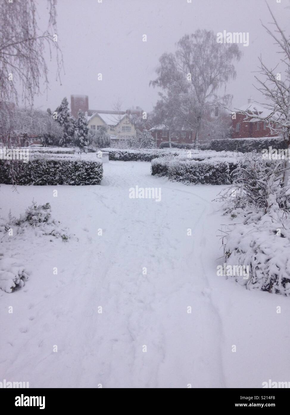 Smooth and crisp hi-res stock photography and images - Alamy