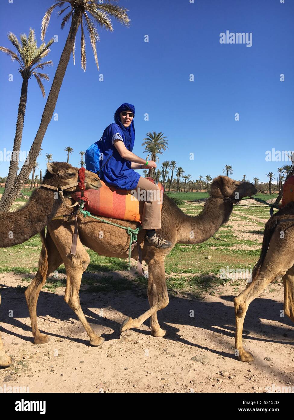 Camel morocco marrakesh hi-res stock photography and images - Alamy