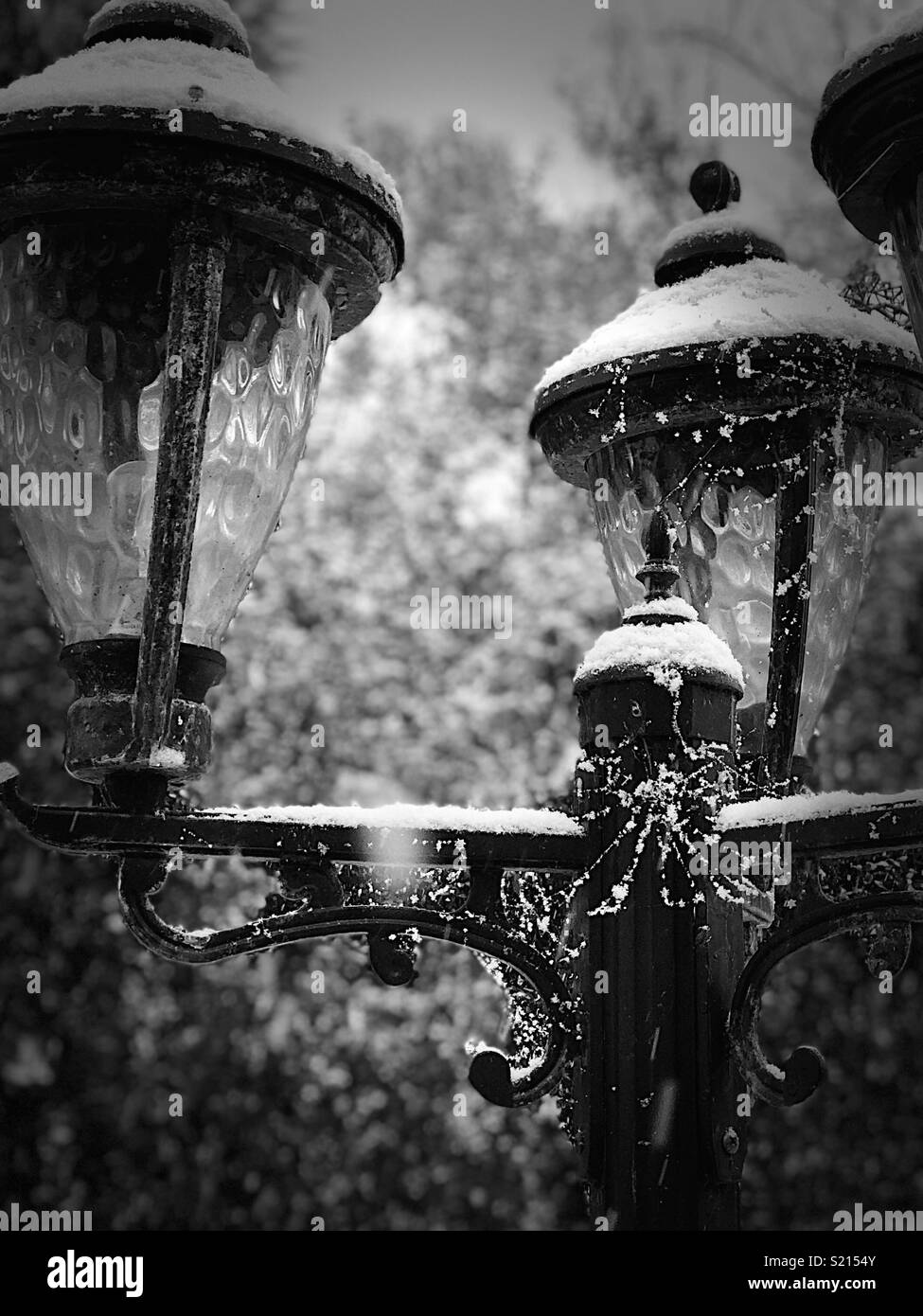 Snow falling on a frosty lamp post with spider webs Stock Photo - Alamy