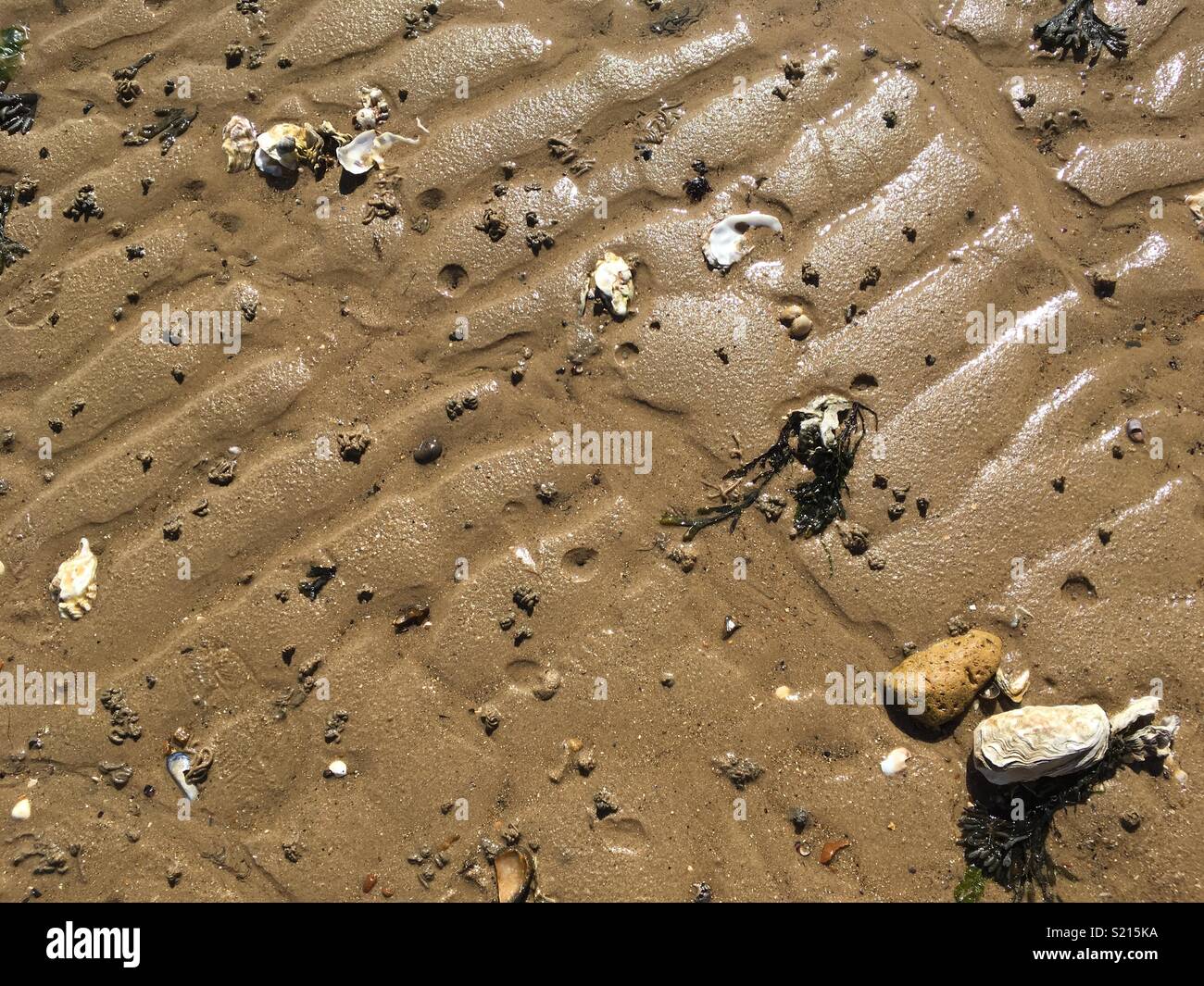 Beach tide out. Ripples in sand Stock Photo - Alamy