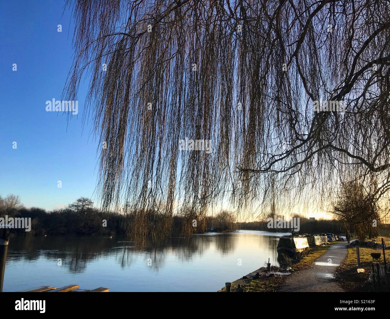 Weeping Willow Tree Over Water High Resolution Stock Photography and ...