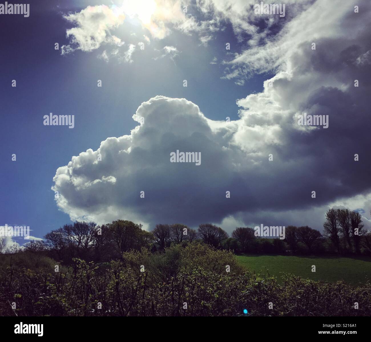Sun in sky over field hi-res stock photography and images - Alamy