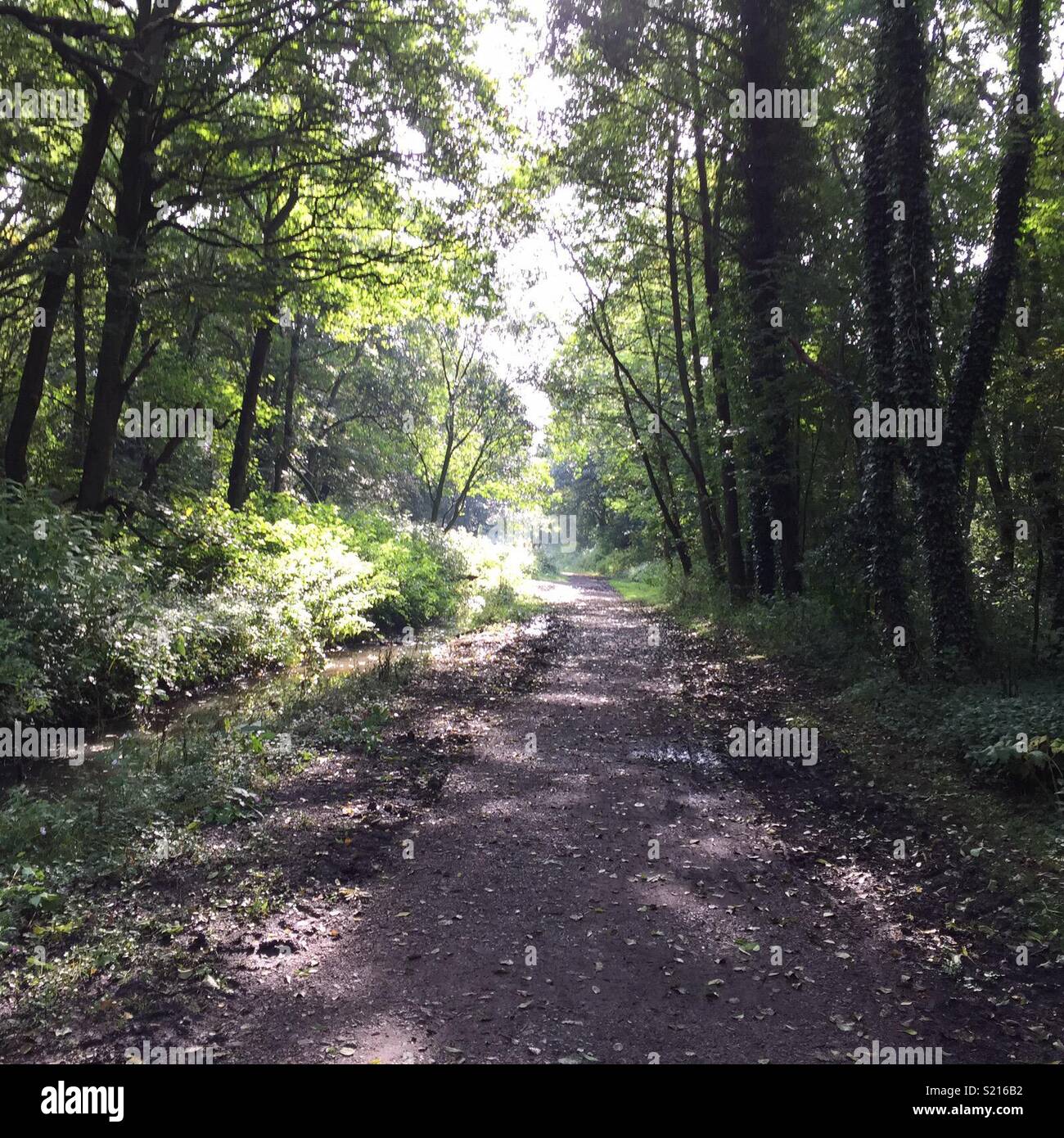 Wyre way hi-res stock photography and images - Alamy