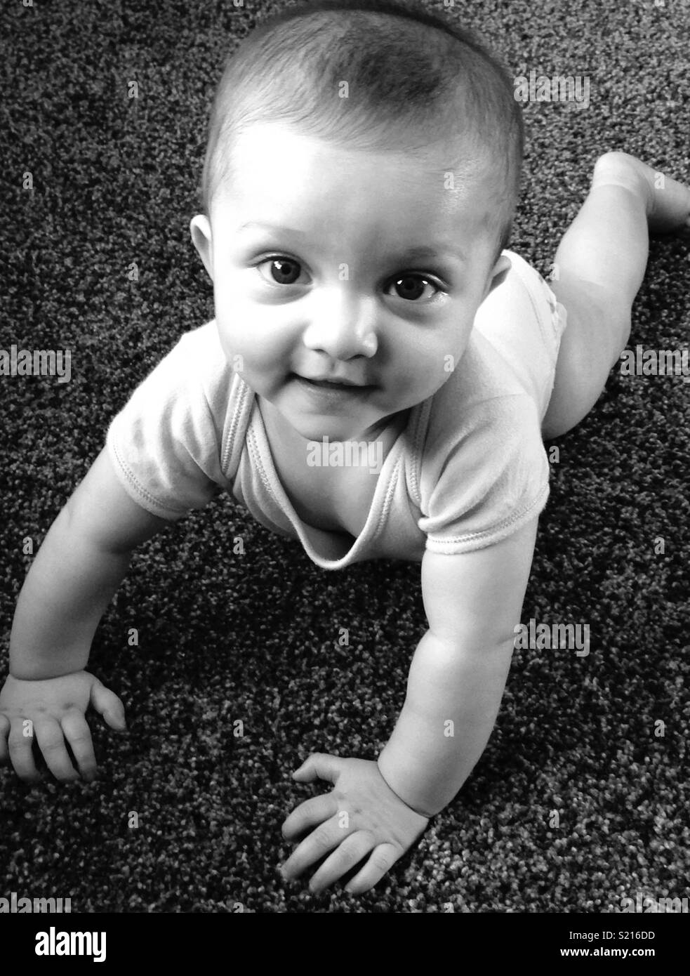 Cute baby crawling Stock Photo - Alamy