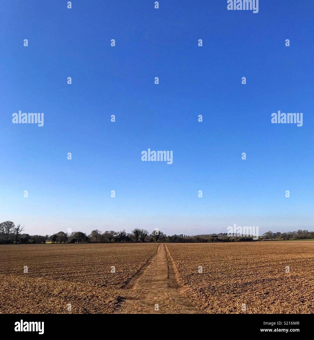 Run through the fields hi-res stock photography and images - Alamy