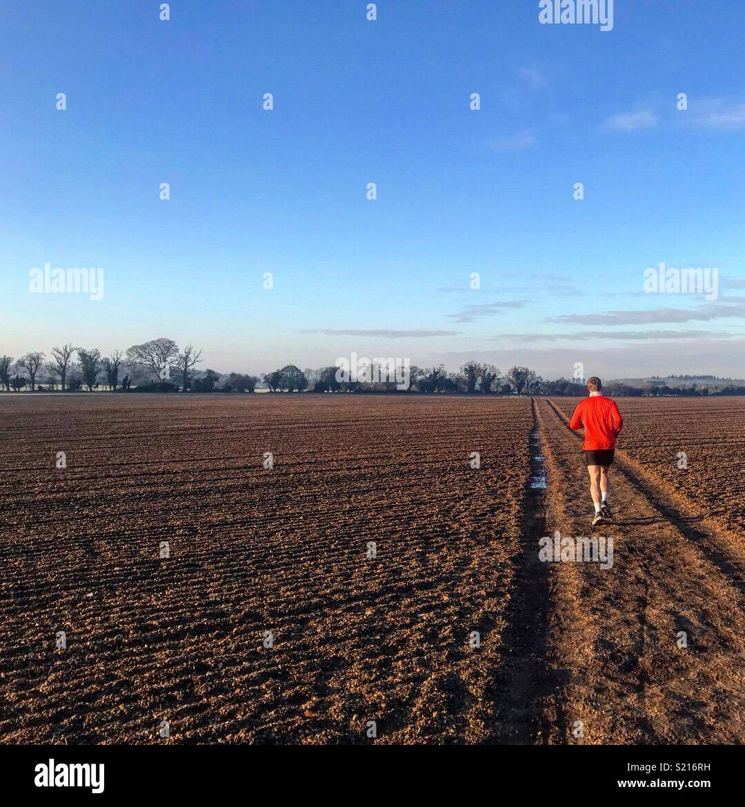 Runner through field under blue skies Stock Photo - Alamy