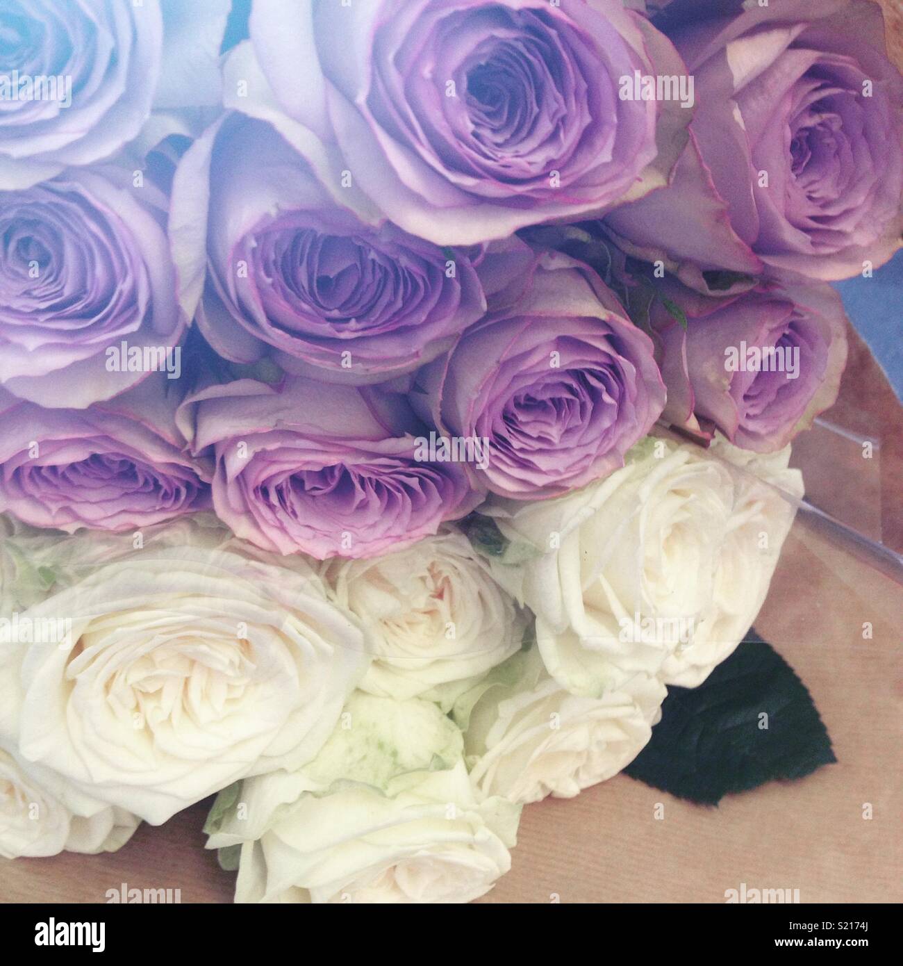 Lila White Garden Rose Bouquet