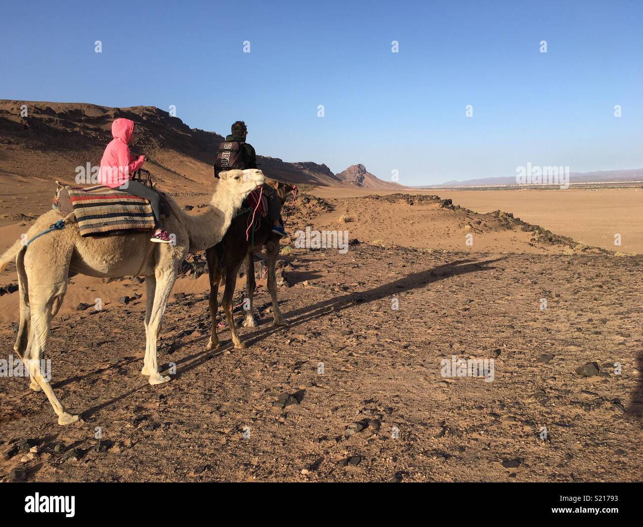 Sahara desert camel trek Stock Photo - Alamy