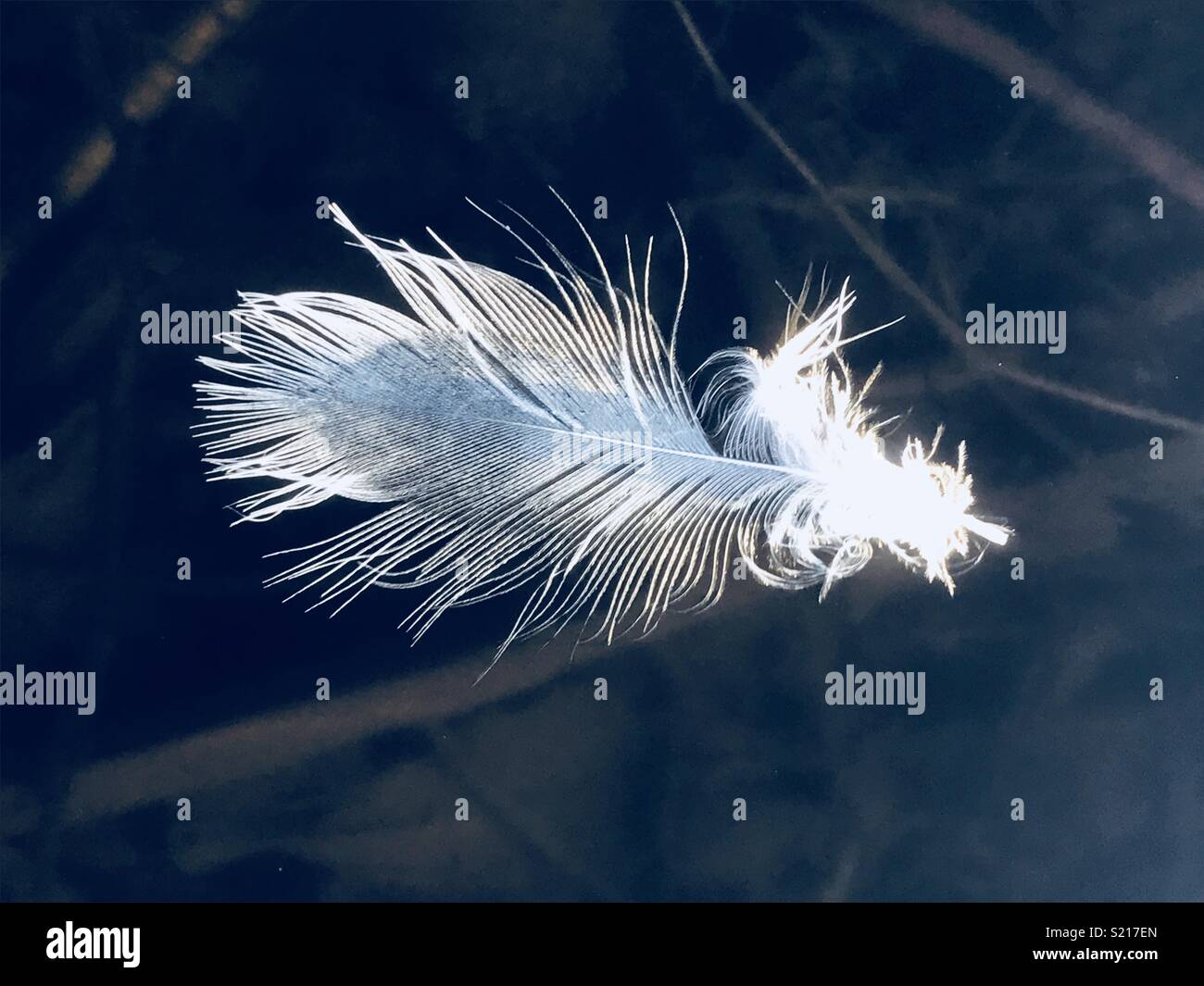 Feather floating hi-res stock photography and images - Alamy