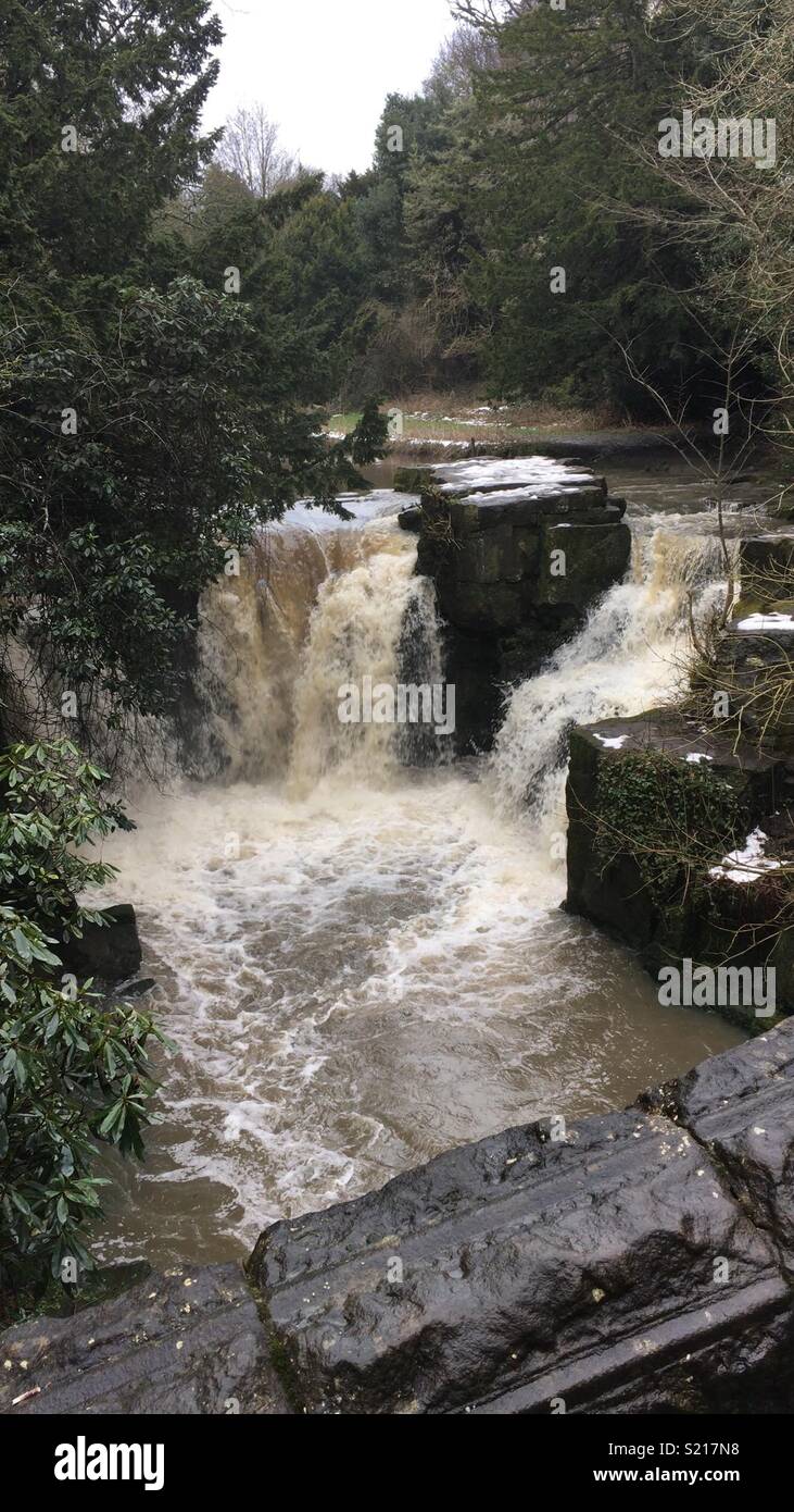 Jesmond Dene Waterfall High Resolution Stock Photography and Images - Alamy