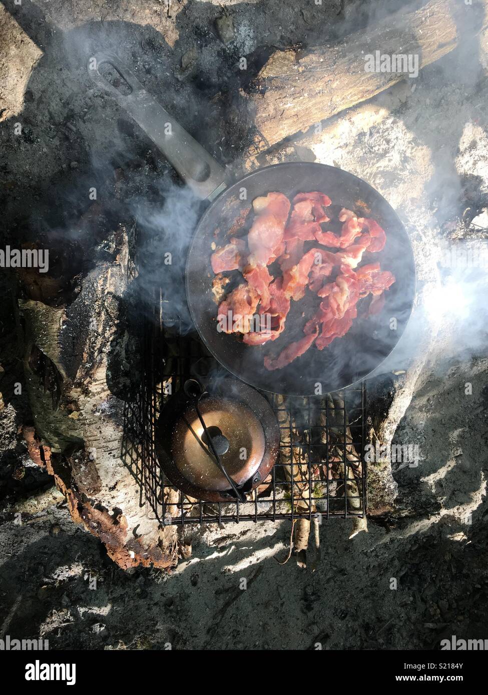Breakfast in the woods Stock Photo - Alamy