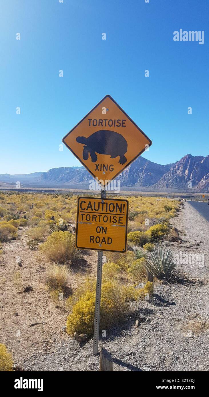 Tortoise crossing road sign hi-res stock photography and images - Alamy