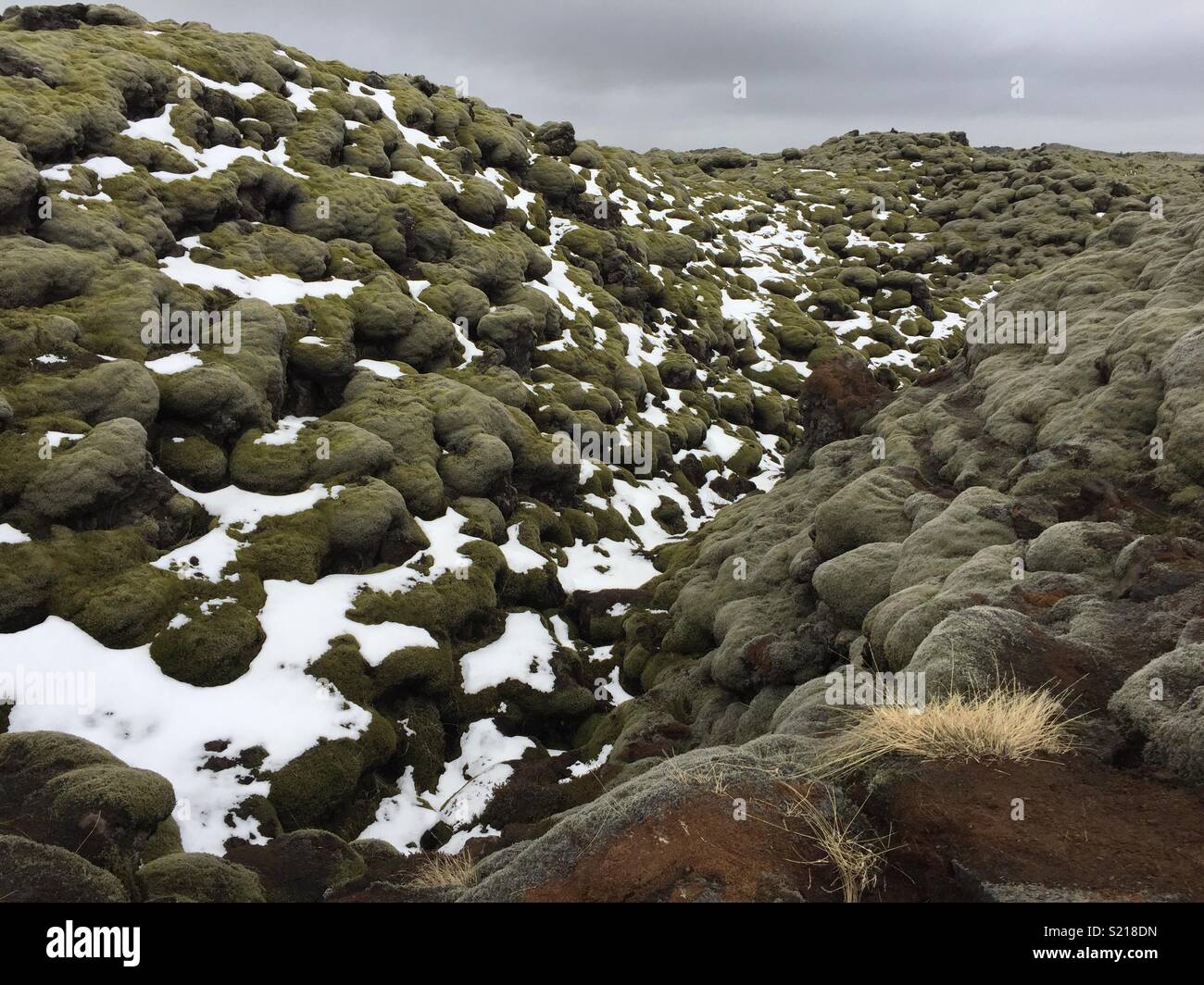 Lava and moss hi-res stock photography and images - Alamy