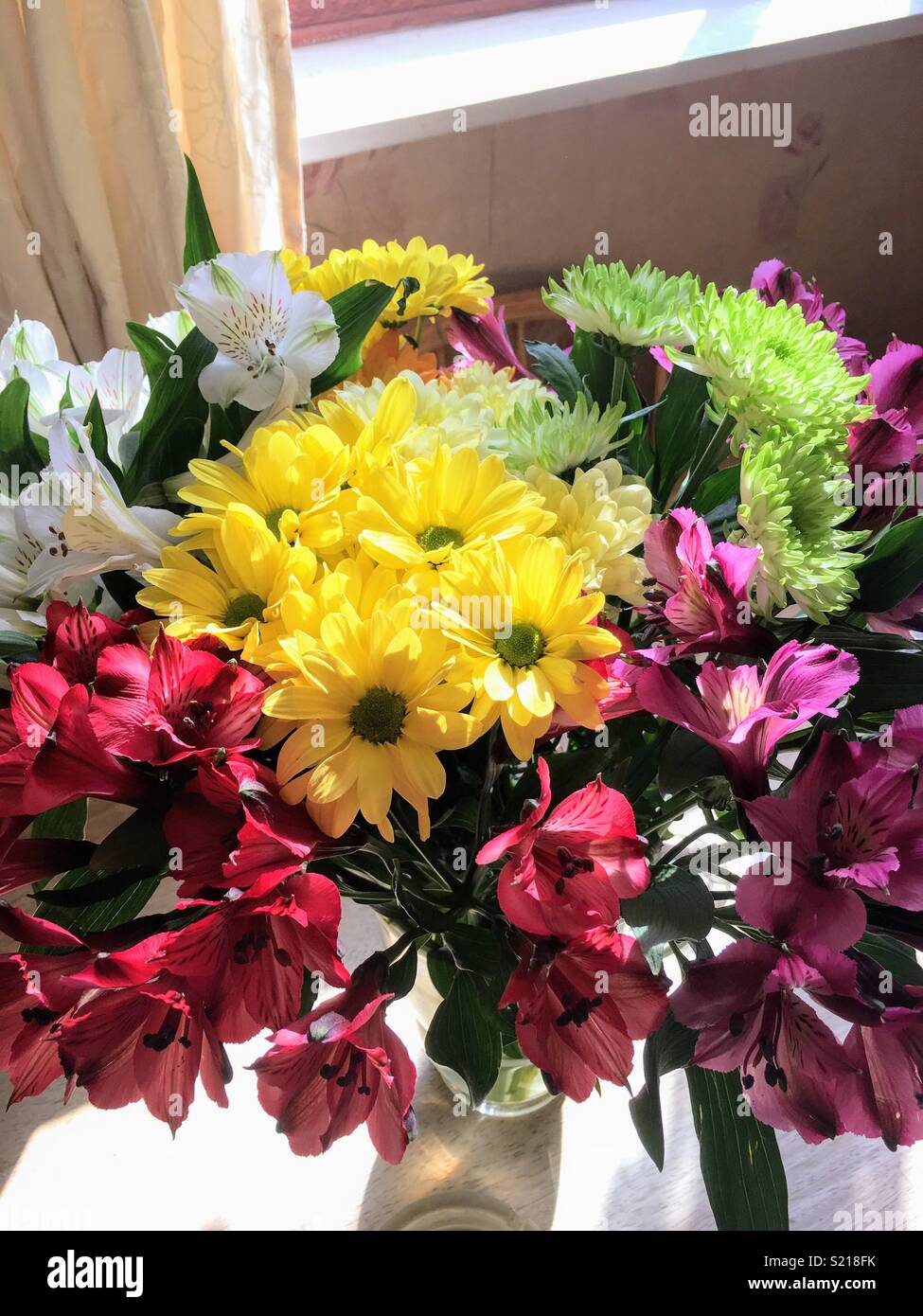 Yellow carnations hi-res stock photography and images - Alamy